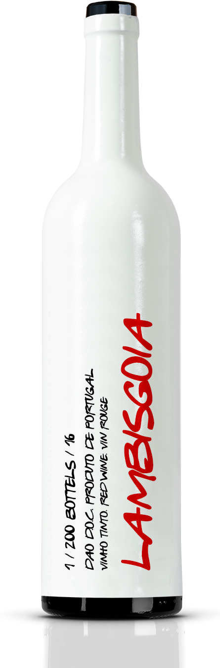 Lambisgoia Reserva - SILVAMATHIAS Wines